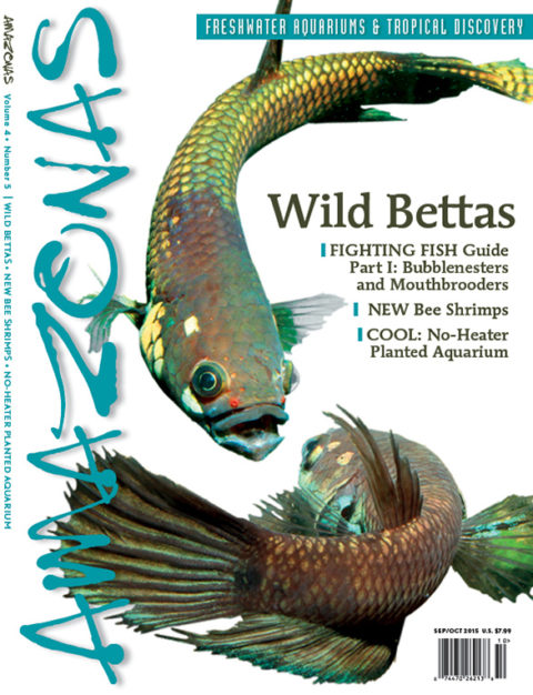 AMAZONAS Sept/Oct 2015 Issue Preview - AMAZONAS Magazine
