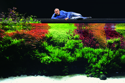 New Takashi Amano Bio: An Aquarium Life - AMAZONAS Magazine