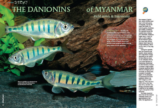 AMAZONAS “Dazzling DANIOS” Issue: Inside Look - AMAZONAS Magazine