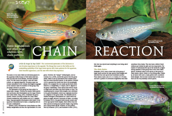 AMAZONAS “Dazzling DANIOS” Issue: Inside Look - AMAZONAS Magazine