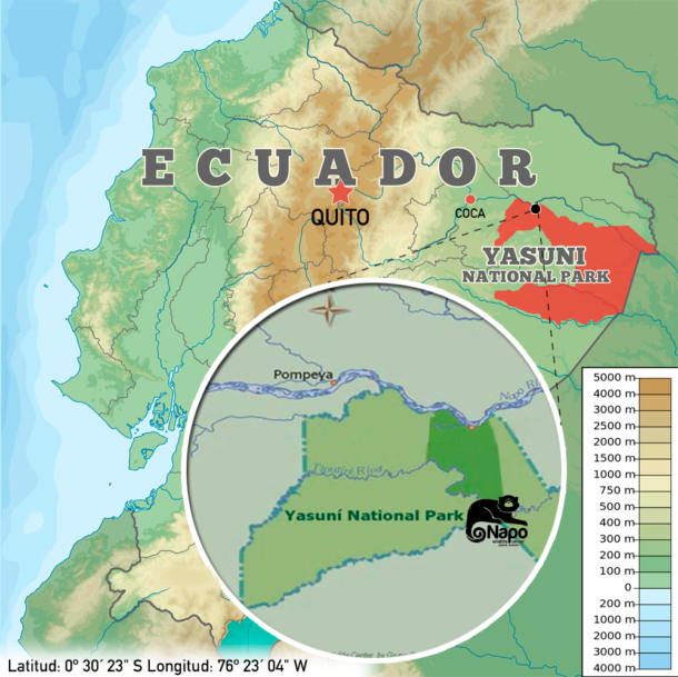 Exploring the Underwater Life of Ecuador's Napo Wildlife Center (Part I ...