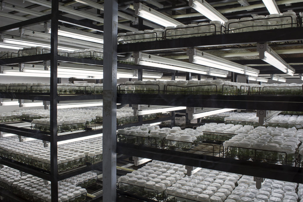 Photo Tour: Sri Lanka's Ornamental Fish Breeding and Training Center ...