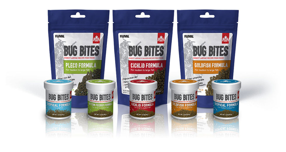 New Bug Bites Insect Larvae Fish Food from Fluval Aquatics - AMAZONAS ...