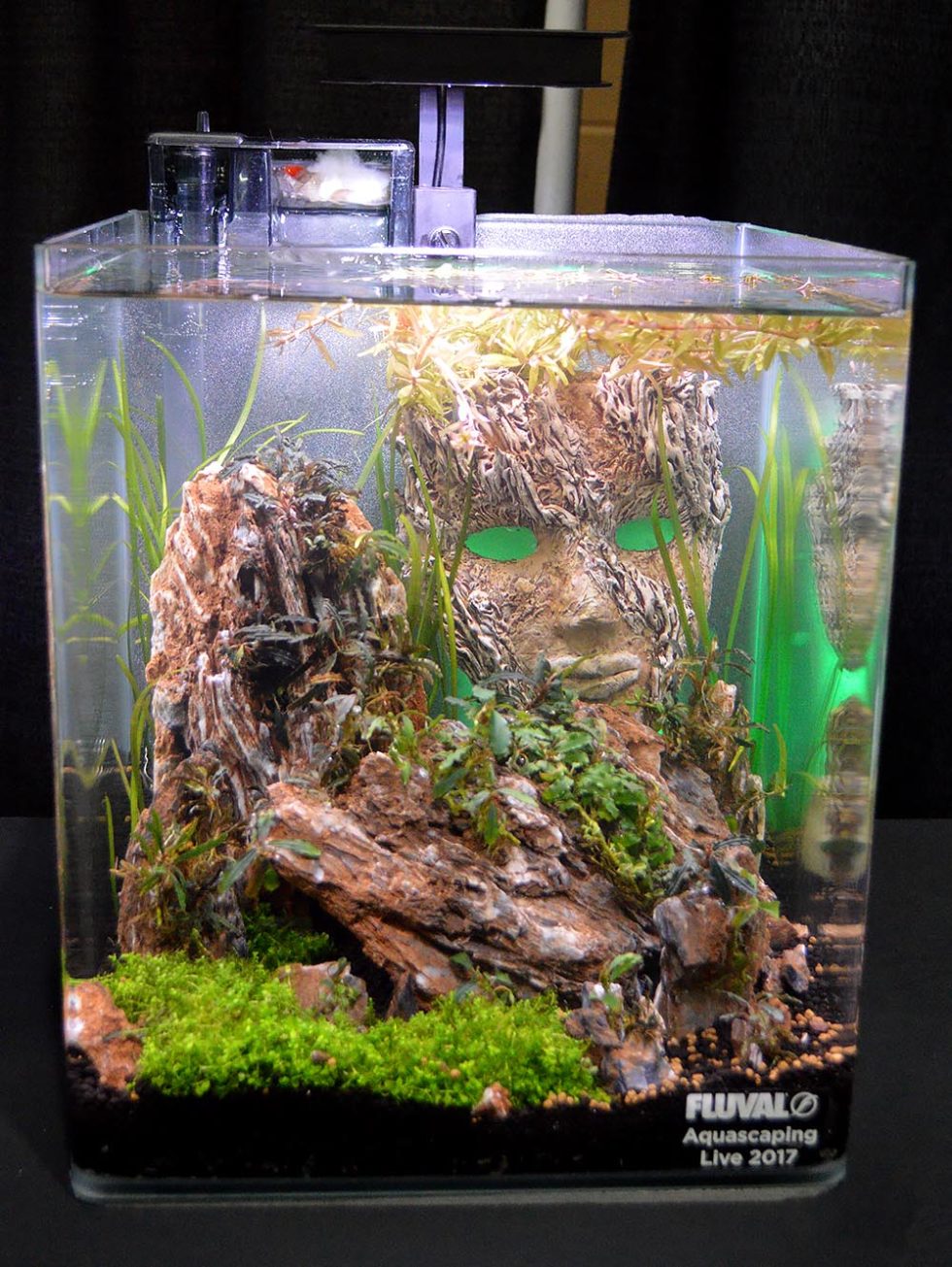 Aquascaping Live! 2017 Small Planted Tanks - AMAZONAS Magazine