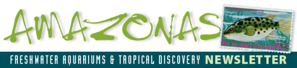 AMAZONAS Magazine | About Us - AMAZONAS Magazine