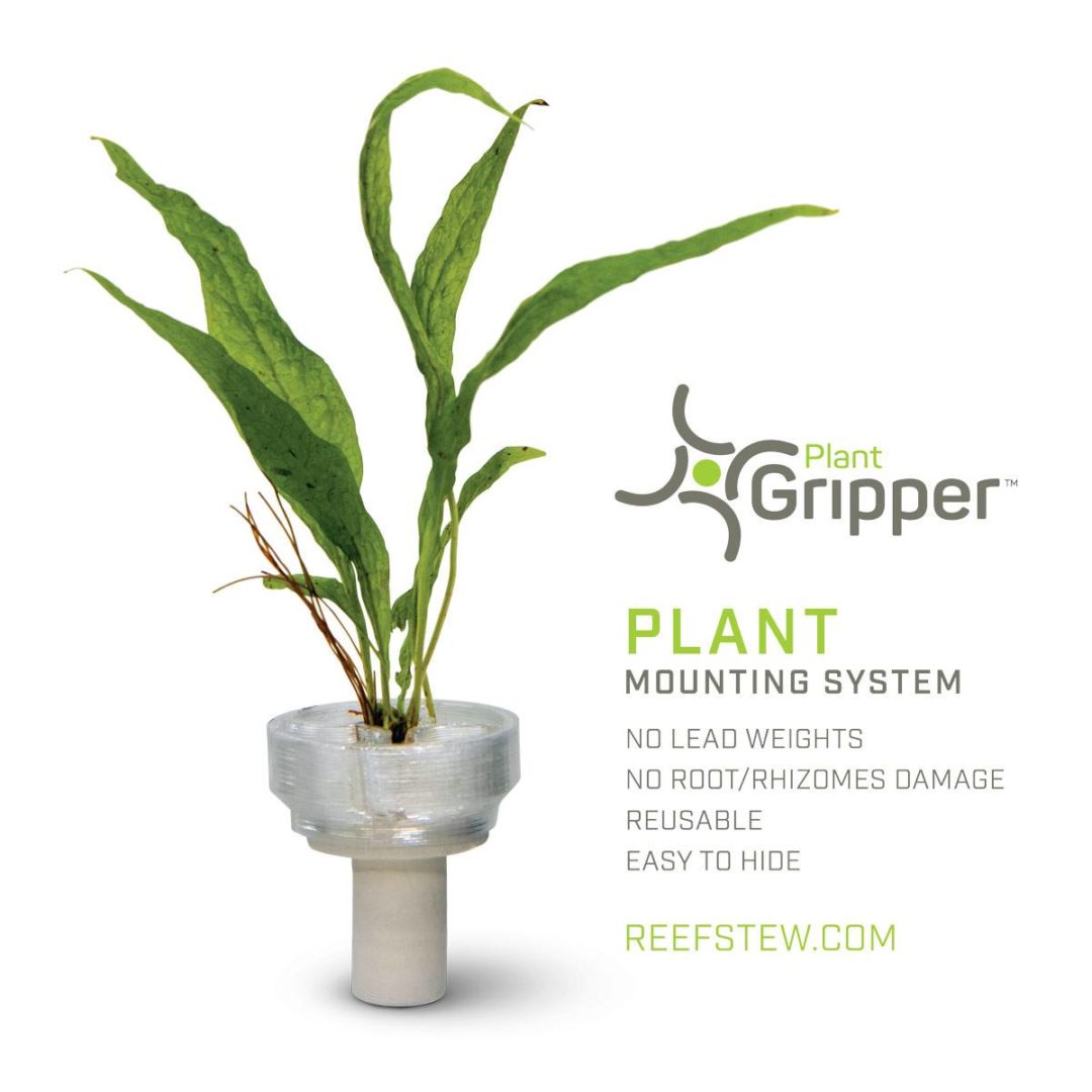 New Reef Stew Plant Gripper - AMAZONAS Magazine