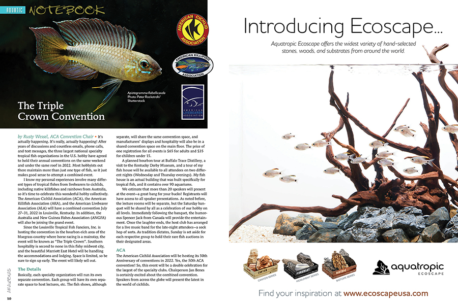AMAZONAS Magazine "GUDGEONS & GOBIES" Inside Look! - AMAZONAS Magazine