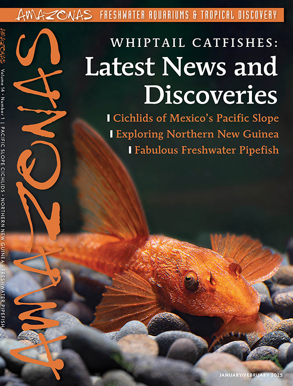 AMAZONAS | the world’s legendary tropical fish magazine