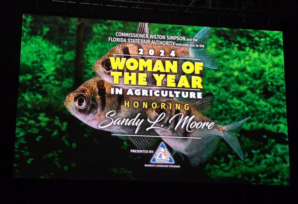 Segrest's Sandy Moore is Florida's 2024 Woman of the Year in ...