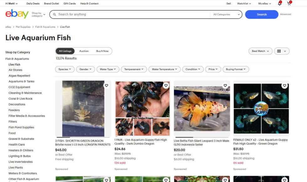 eBay Bans Nearly All Live Animal Sales on Platform - AMAZONAS Magazine